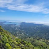 Verna Dunshee Trail and Plank Trail at Mount Tam East Peak, California ...