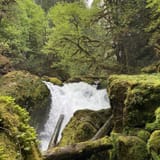 Santiam Wagon Road to House Rock, Oregon - 411 Reviews, Map | AllTrails