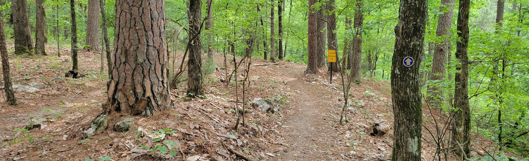 Little Brother to Traditional Blue Trail: 23 Reviews, Map - Oklahoma ...