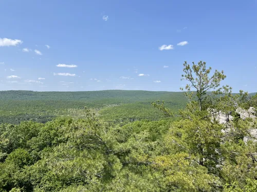 10 Best Hikes and Trails in Michaux State Forest | AllTrails