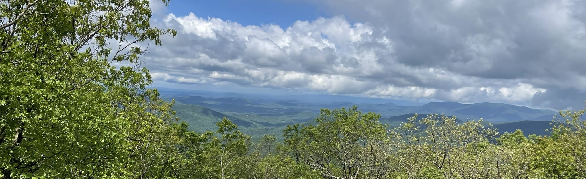 Appalachian Approach Trail: 948 Reviews, Map - Georgia | AllTrails