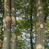 Colyer Lake Loop, Pennsylvania - 633 Reviews, Map | AllTrails