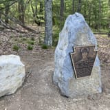 Colyer Lake Loop, Pennsylvania - 633 Reviews, Map | AllTrails