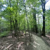 Colyer Lake Loop, Pennsylvania - 633 Reviews, Map | AllTrails