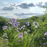 Colyer Lake Loop, Pennsylvania - 633 Reviews, Map | AllTrails