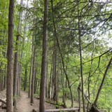 Colyer Lake Loop, Pennsylvania - 633 Reviews, Map | AllTrails