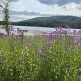 Colyer Lake Loop, Pennsylvania - 633 Reviews, Map | AllTrails