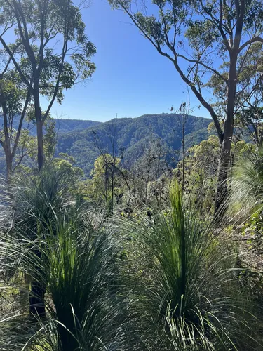 10 Best Walking Trails in Mount Glorious | AllTrails