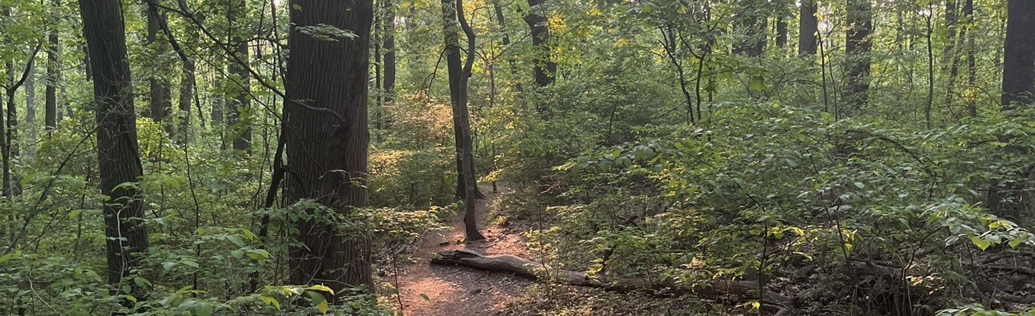 Alpine Street Trail: 897 Reviews, Map - Pennsylvania | AllTrails