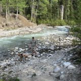 Loop Brook Trail, British Columbia, Canada - 142 Reviews, Map | AllTrails