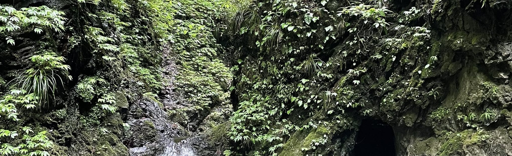 Kongo Falls - Mount Kariyose - Imakumasan-Tozanguchi Bus Stop Loop ...