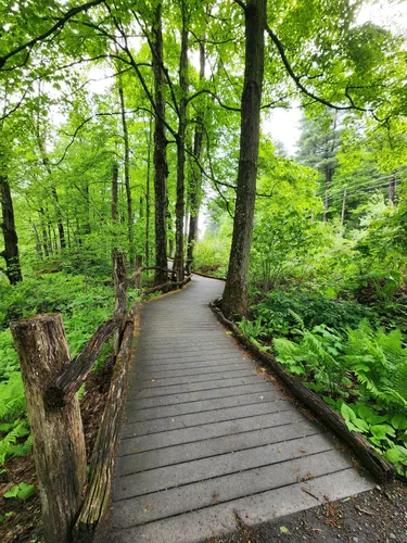 Best Hikes and Trails in Stockbridge | AllTrails
