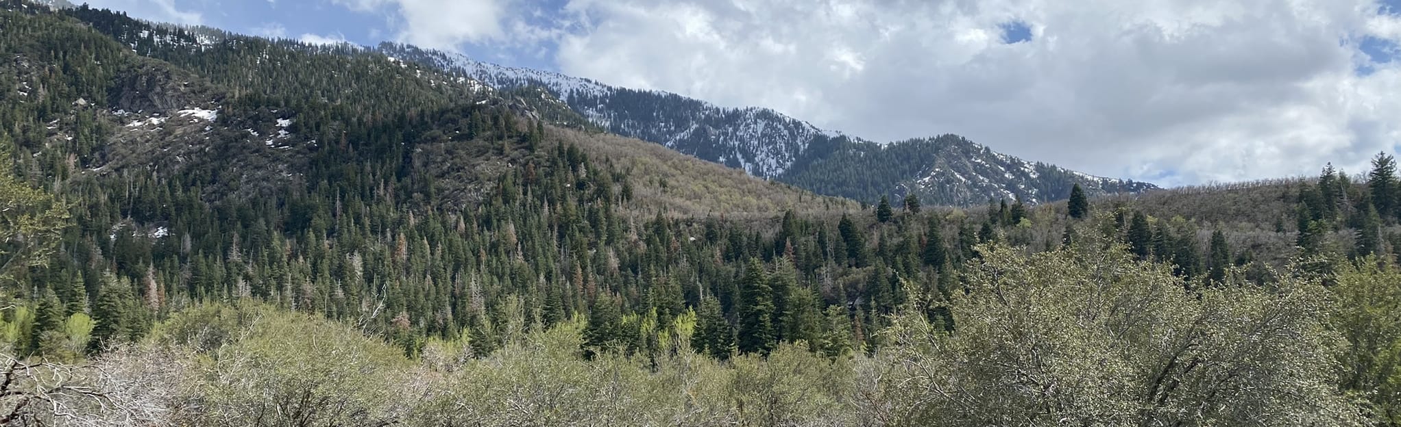 WURL: Wasatch Ultimate Ridge Linkup, Utah - 68 Reviews, Map | AllTrails