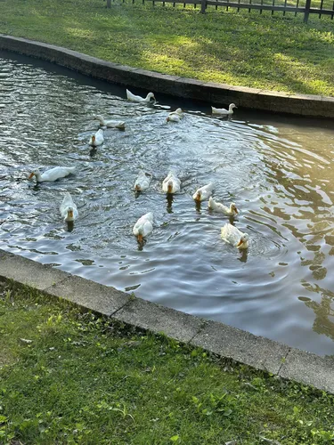 Best Hikes and Trails in Krape Park | AllTrails