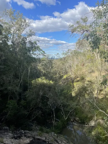 10 Best Trails and Hikes in Mount Coot-tha | AllTrails