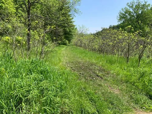 Best Hikes and Trails in Kickapoo Valley Reserve | AllTrails