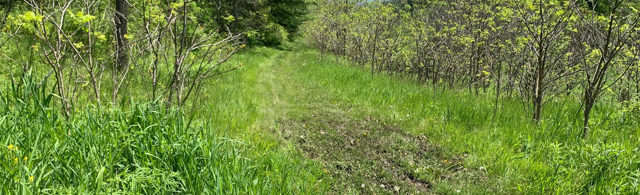 Old Highway 131, West Ridge, Ice Cave, and Little Canada Loop: 21 ...