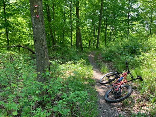 2023 Best Horseback Riding Trails in Kickapoo Valley Reserve | AllTrails