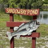 Shadow Bay Park Loop, Florida - 198 Reviews, Map | AllTrails
