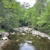 South Toe River Loop Trail, North Carolina - 431 Reviews, Map | AllTrails