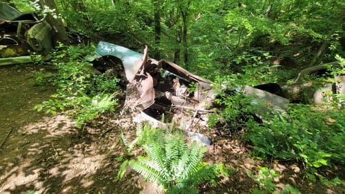 2023 Best Mountain Biking Trails in Bacon Ridge Natural Area | AllTrails