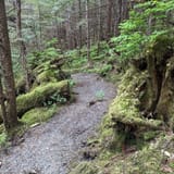 Perseverance Lake Trail, Alaska - 243 Reviews, Map | AllTrails