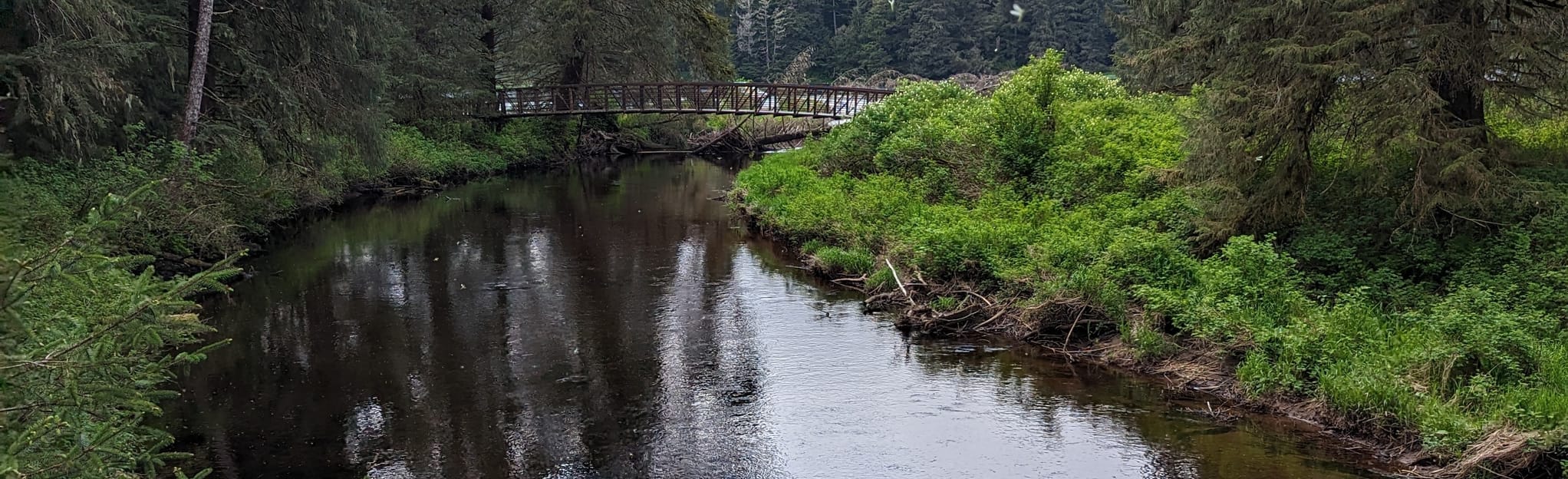 Perseverance Lake Trail, Alaska - 185 Reviews, Map | AllTrails