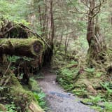 Perseverance Lake Trail, Alaska - 243 Reviews, Map | AllTrails