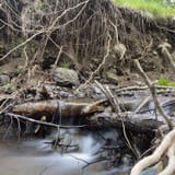 Canyon and Pony Gate Loop, California - 572 Reviews, Map | AllTrails