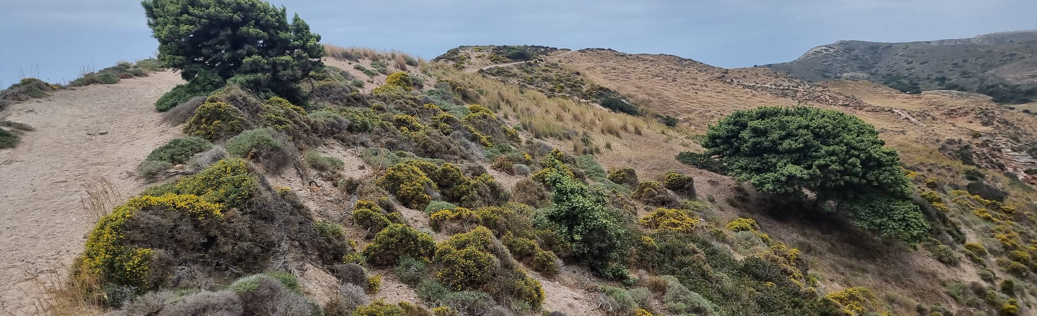 Paleochori - Agia Kiriaki - Volcano Crater: 9 Reviews, Map - Milos ...