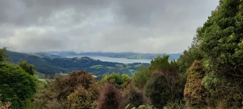 Best Hikes and Trails in Mount Cargill Scenic Reserve | AllTrails