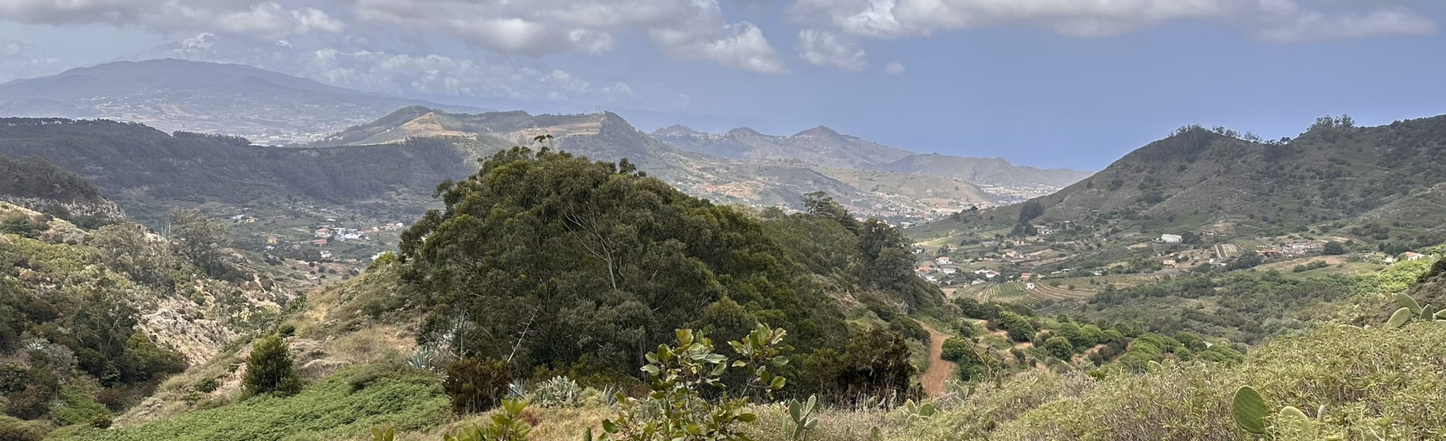 Pedro Álvarez - Los Collazos - Mirador de Zapata: 102 fotos - Tenerife ...
