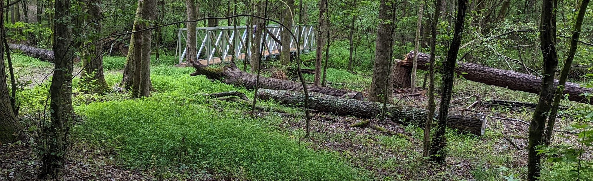 Union County Heritage Trail, North Carolina - 33 Reviews, Map | AllTrails