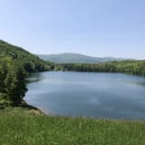 Elkhorn Lake, Virginia - 24 Reviews, Map | AllTrails