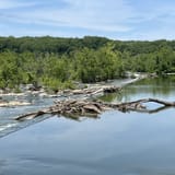 Gold Mine Loop Trail, Maryland - 843 Reviews, Map | AllTrails