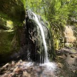 Stephens' Falls Trail, Wisconsin - 189 Reviews, Map | AllTrails