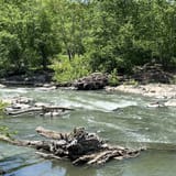 Gold Mine Loop Trail, Maryland - 859 Reviews, Map | AllTrails