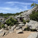 Gold Mine Loop Trail, Maryland - 859 Reviews, Map | AllTrails