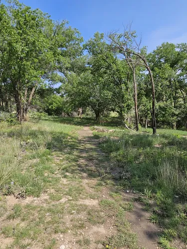 Best Hikes and Trails in Buffalo Lake National Wildlife Refuge | AllTrails