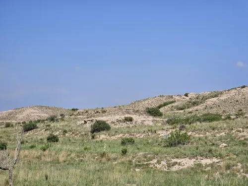 Best Hikes and Trails in Buffalo Lake National Wildlife Refuge | AllTrails