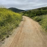 Aliso Summit Trail, California - 319 Reviews, Map | AllTrails