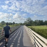 Brevard Zoo Linear Park Trail, Florida - 747 Reviews, Map | AllTrails