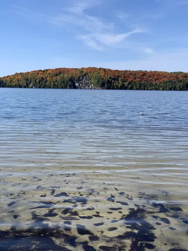 Best River Trails in Limberlost Forest and Wildlife Reserve | AllTrails