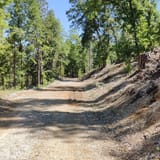 Lyons Dam, California - 542 Reviews, Map | AllTrails