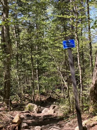 2023 Best Views Trails in Parc de la forêt ancienne du Mont Wright ...