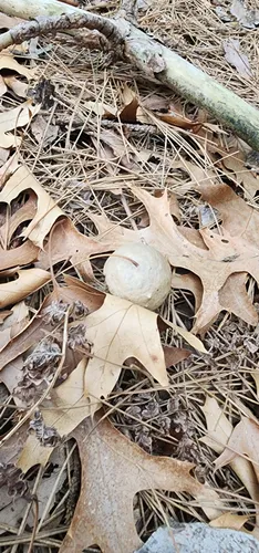 Best Hikes and Trails in Port Sheldon Natural Area | AllTrails