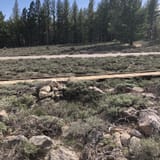 Kyburz Flat Interpretive Site, California - 6 Reviews, Map | AllTrails