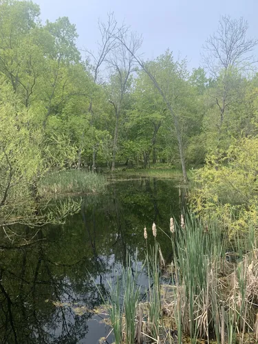 Best Hikes and Trails in Billy Wilson Park | AllTrails