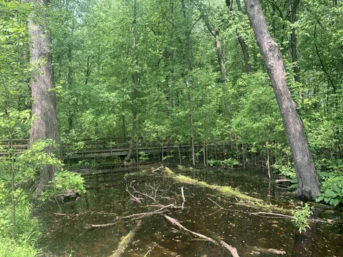 Best Hikes and Trails in Billy Wilson Park | AllTrails