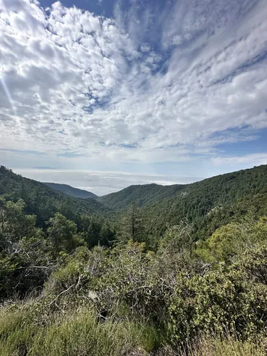 10 Best Trails And Hikes In Sierra Madre Alltrails